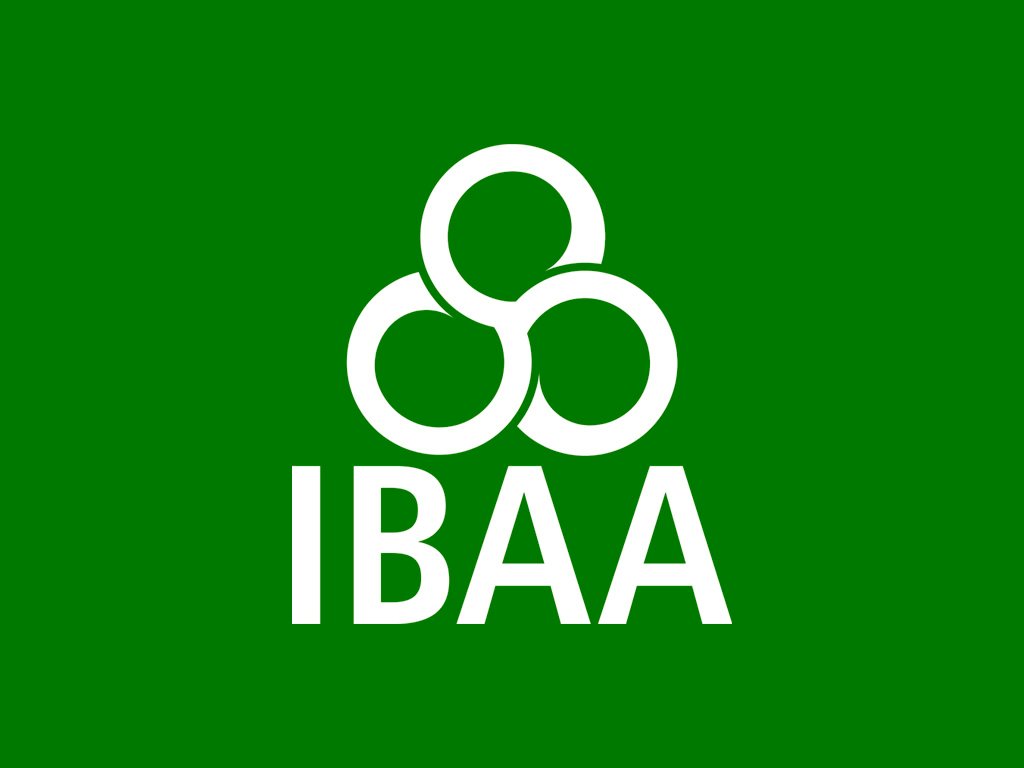 RESENHA – BIANCA NOGUEIRA SILVA DE LIMA – PRÁTICA DE PREGAÇÃO | IBAA